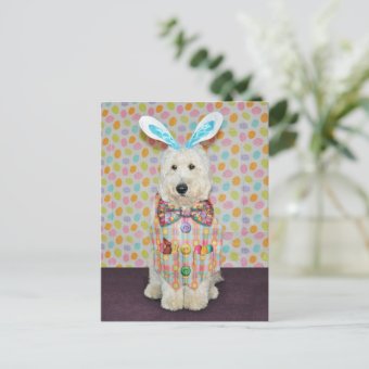 Goldendoodle Easter postcard | Zazzle