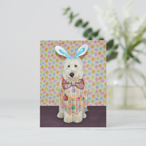 Goldendoodle Easter postcard | Zazzle