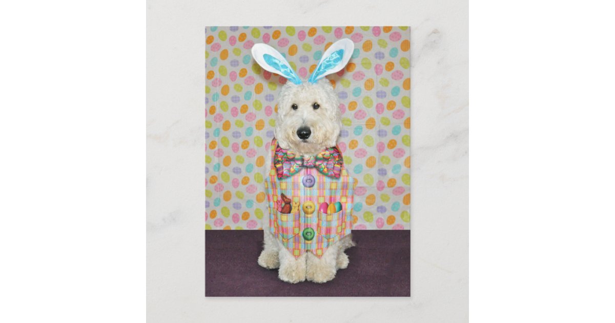 Goldendoodle Easter postcard | Zazzle