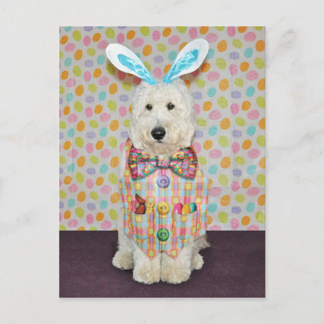 Goldendoodle Easter postcard | Zazzle