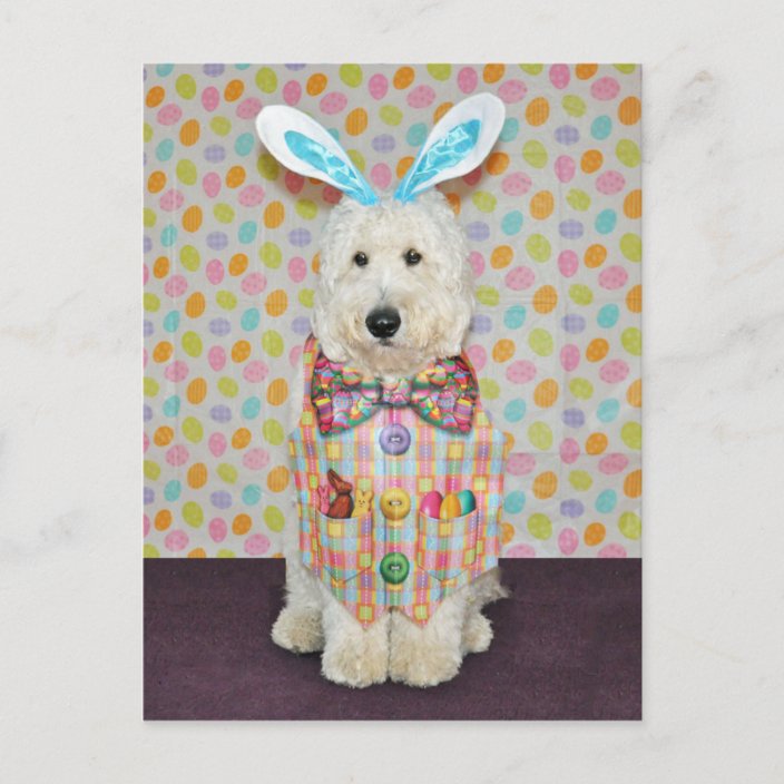 Goldendoodle Easter postcard | Zazzle.com