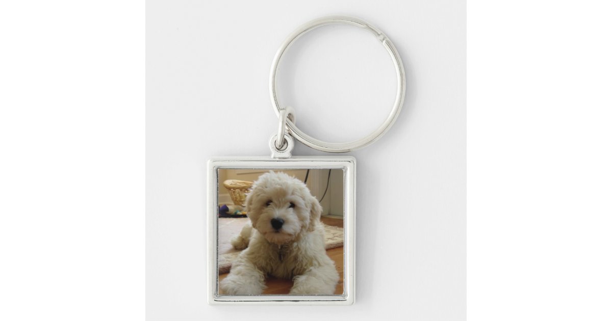 Goldendoodle Keychain | Zazzle