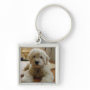 Goldendoodle Keychain | Zazzle