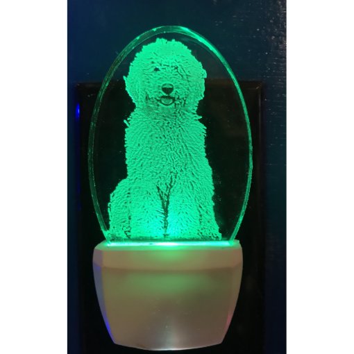 Goldendoodle Night Light | Zazzle
