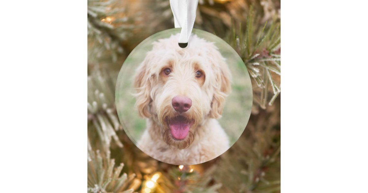 Goldendoodle Smiling Ornament | Zazzle