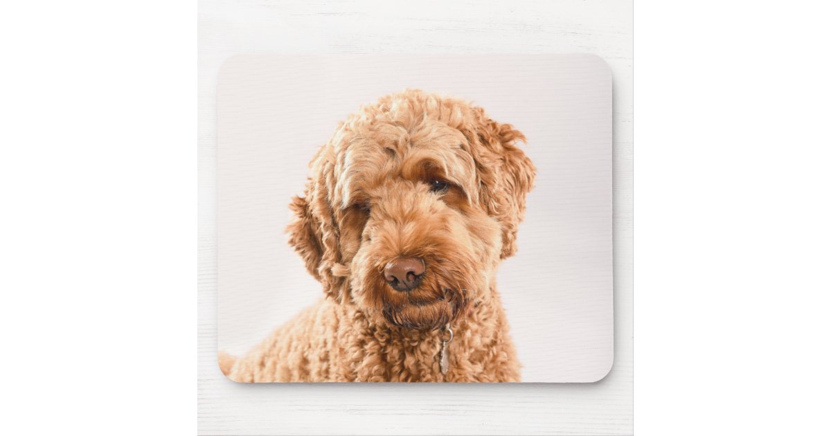 Goldendoodle Studio Portrait Mouse Pad | Zazzle