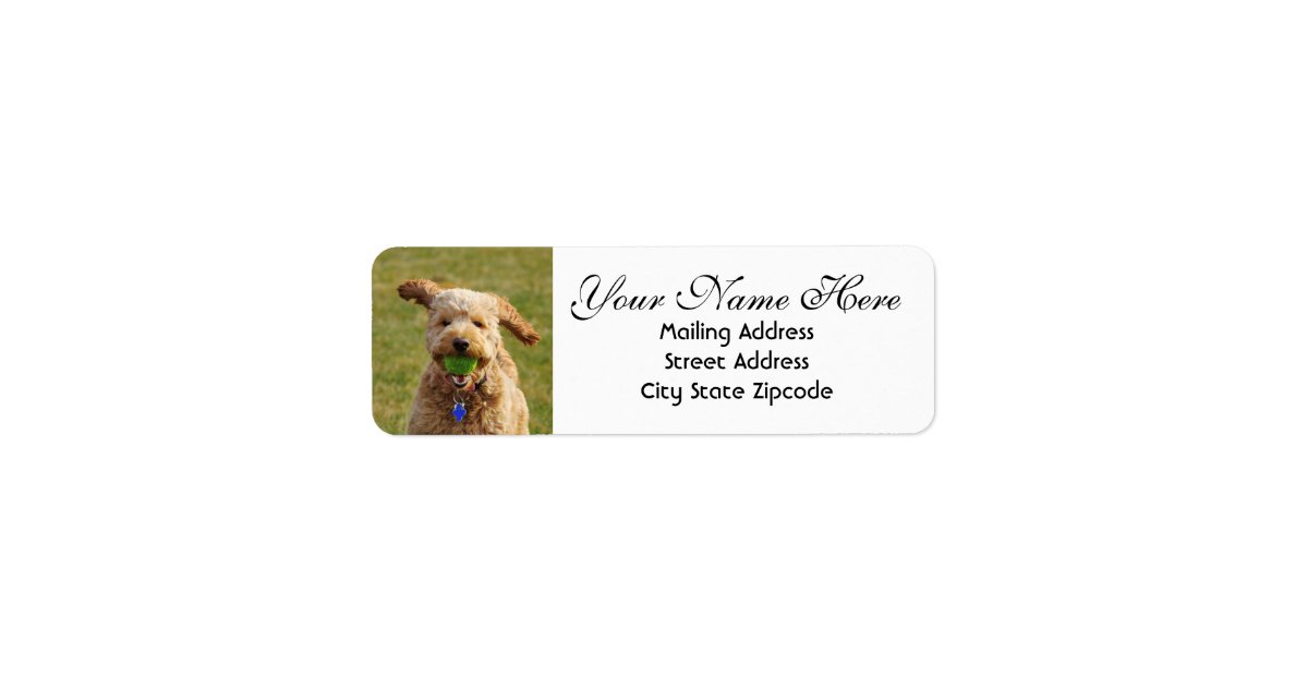 Goldendoodle with Ball Return Address Label | Zazzle