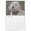 Goldendoodles Calendar | Zazzle