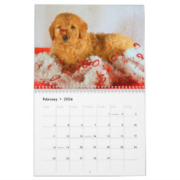 Goldendoodles Calendar | Zazzle