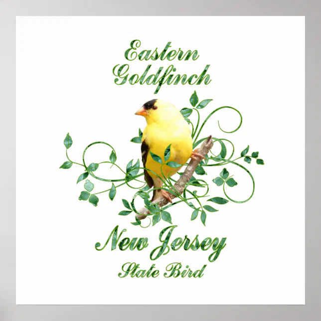 Goldfinch New Jersey State Bird Poster | Zazzle