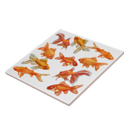 Goldfish Ceramic Tile | Zazzle