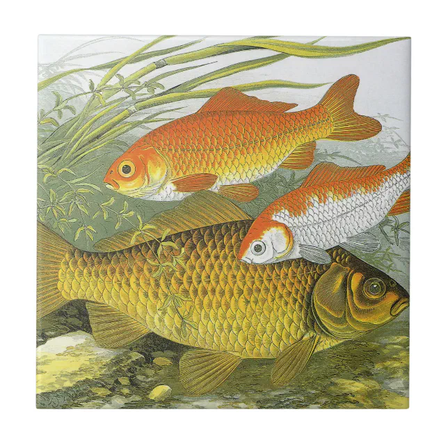 ceramic tile fish