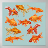 Goldfish Poster | Zazzle