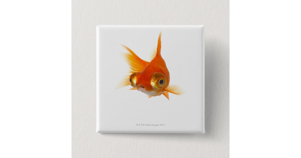 Goldfish with Big eyes Button | Zazzle