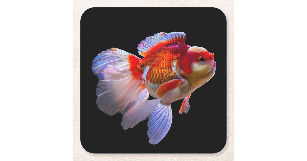 Goldfish with Black Background Square Paper Coaster | Zazzle