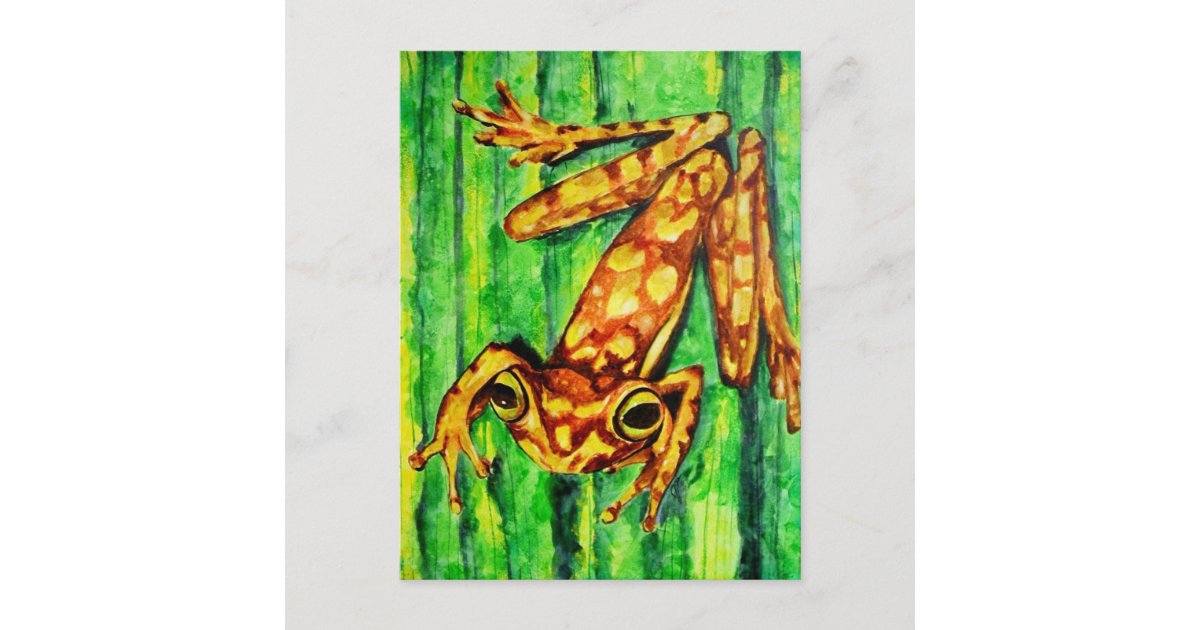Goldie The Tree Frog Postcards | Zazzle