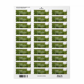 Golf Ball on Course Mailing Labels | Zazzle