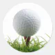 Golf sticker | Zazzle