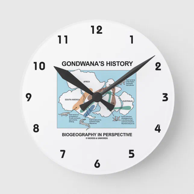 Gondwana's History Biogeography In Perspective Round Clock | Zazzle