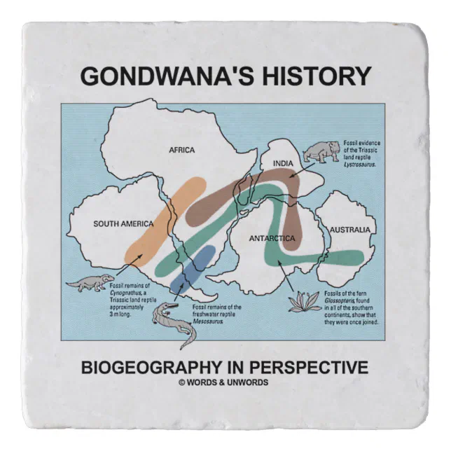 Gondwana's History Biogeography In Perspective Trivet | Zazzle