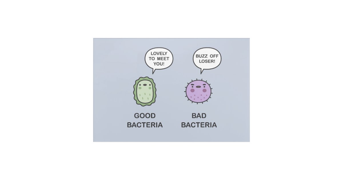 Good Bacteria, Bad Bacteria Acrylic Print | Zazzle