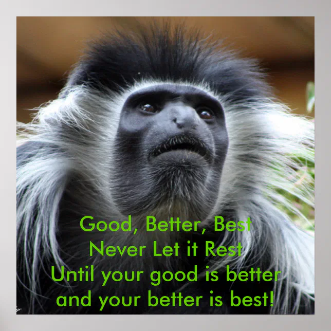 Good, Better, Best,Never Let it Rest! Poster | Zazzle