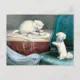 Good little Fido and naughty Kittie, 1893 Postcard | Zazzle