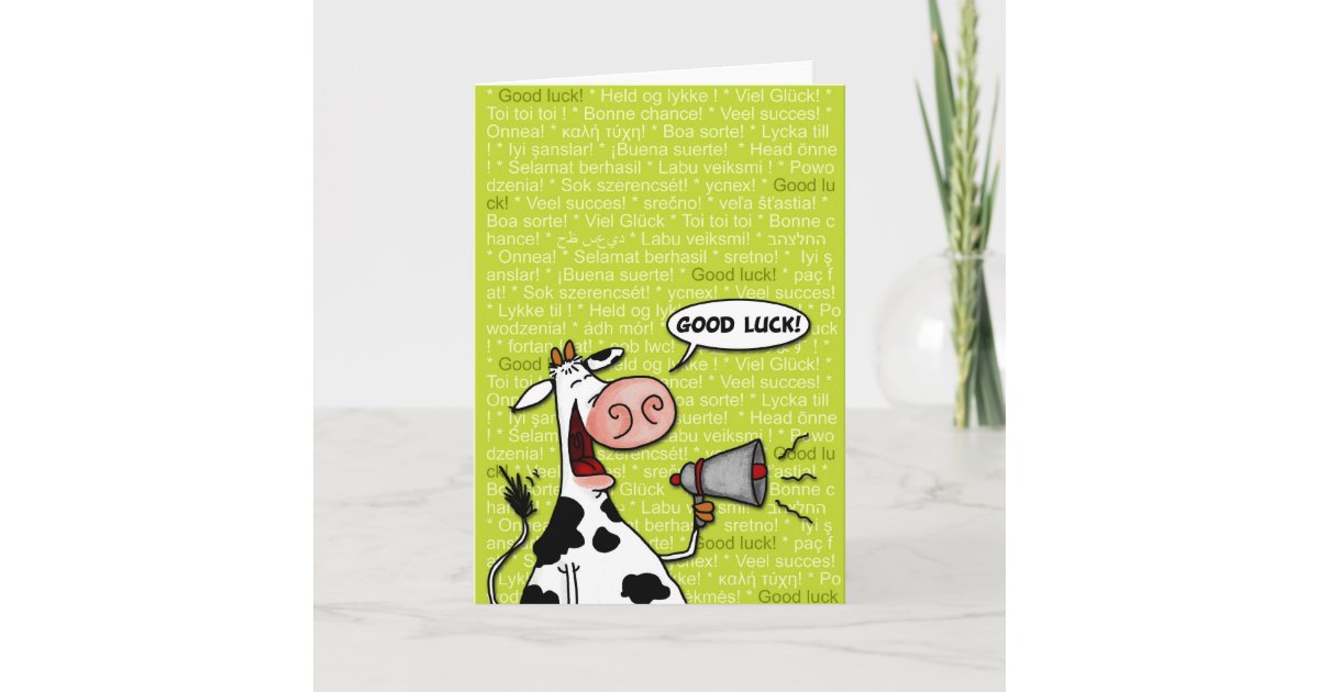 good luck cow card | Zazzle.com