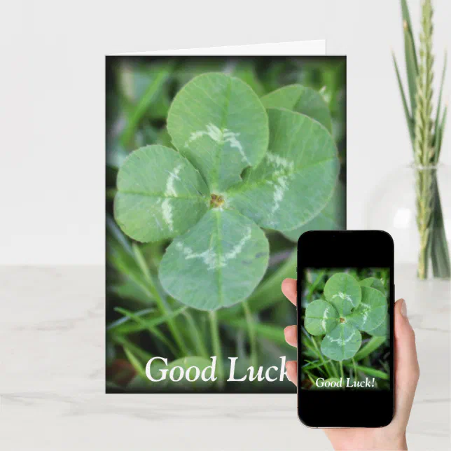 Good Luck Four Leaf Clover Card | Zazzle