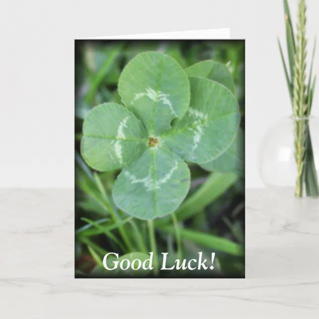 Good Luck Four Leaf Clover Card | Zazzle