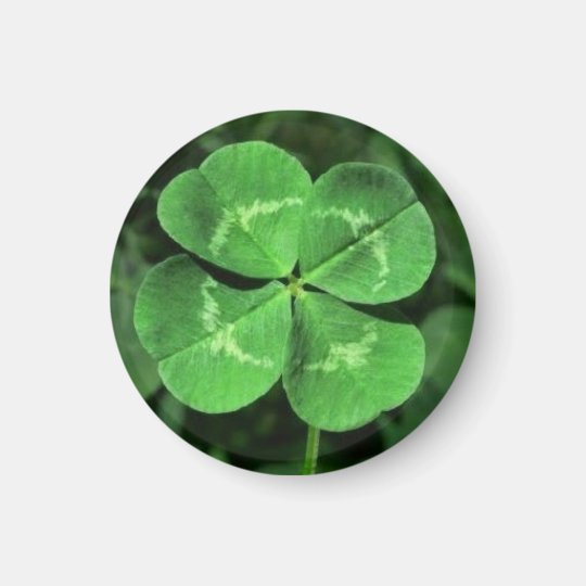 Good Luck Four Leaf Clover Magnet | Zazzle.com