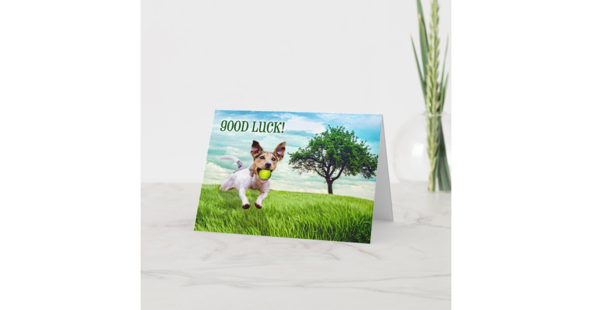 Good Luck Jack Russel Terrier Playing Fetch Card | Zazzle