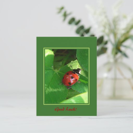 Good Luck! Postcard | Zazzle