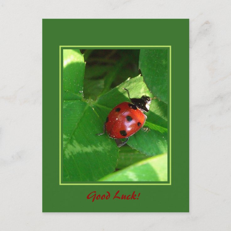 Good Luck! Postcard | Zazzle