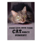 Get Well, Cataract Surgery greeting card | Zazzle.com