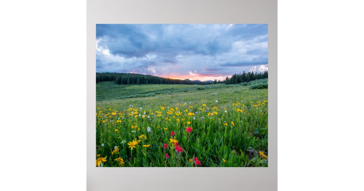 Good Morning Meadow, Poster | Zazzle