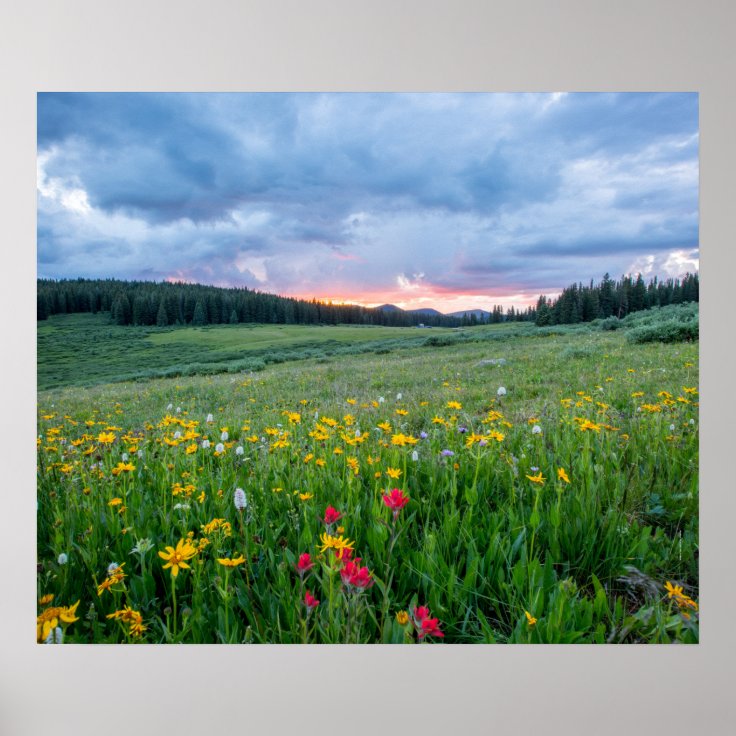 Good Morning Meadow, Poster | Zazzle