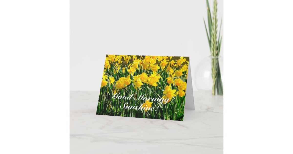 Good Morning Sunshine-blank inside-greeting card | Zazzle