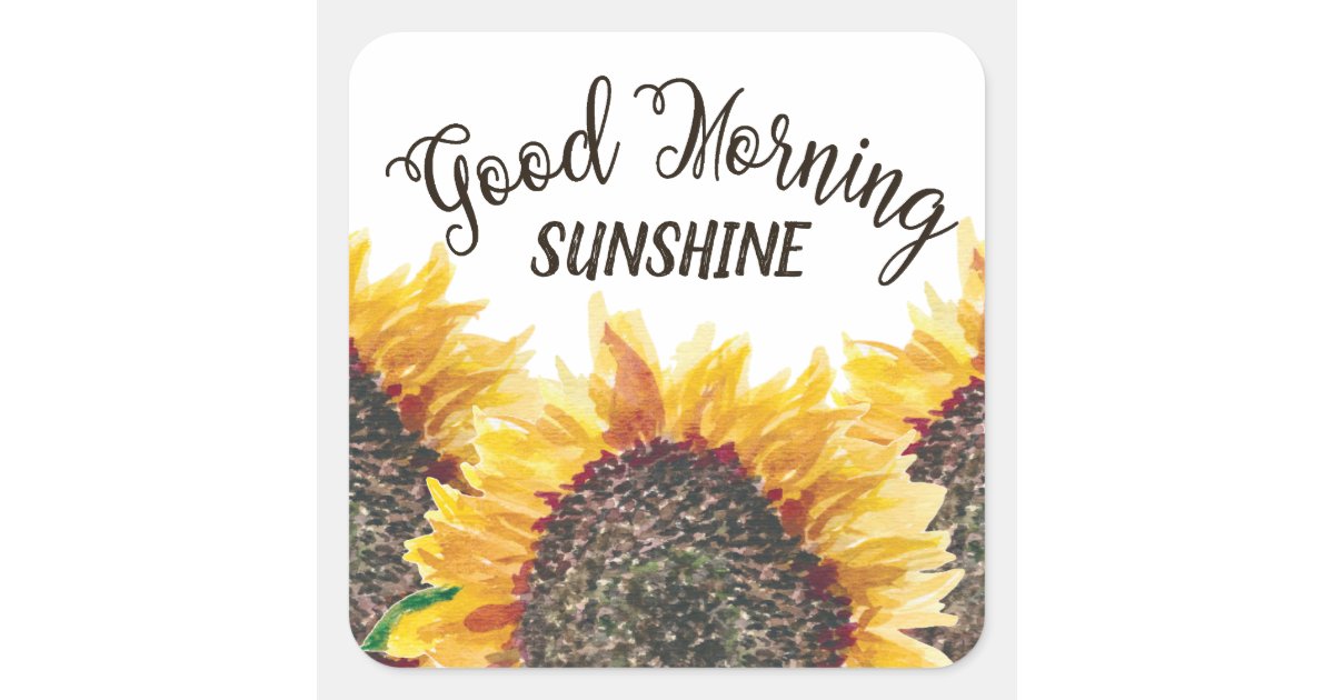 Good Morning Sunshine Yellow Brown Sunflowers Square Sticker | Zazzle