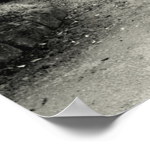 Goodbye Elephant, Tiger and Zebra Poster | Zazzle