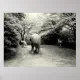 Goodbye Elephant, Tiger and Zebra Poster | Zazzle