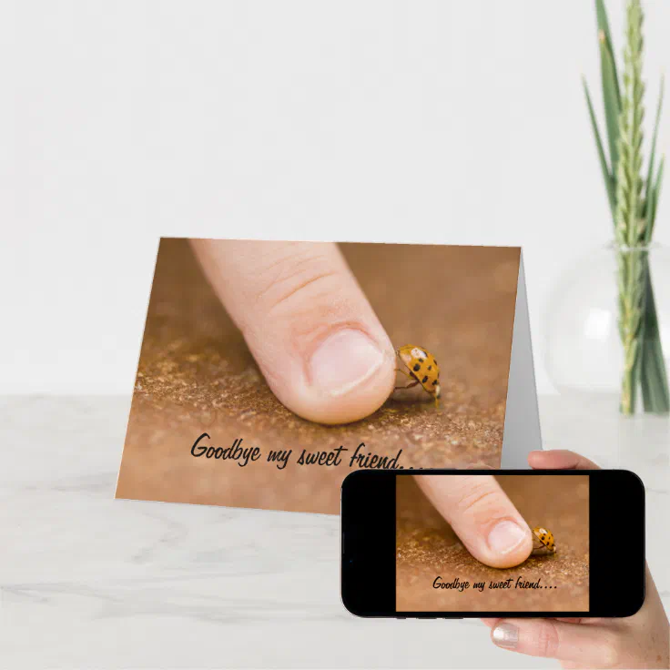 Goodbye friend ladybug card | Zazzle