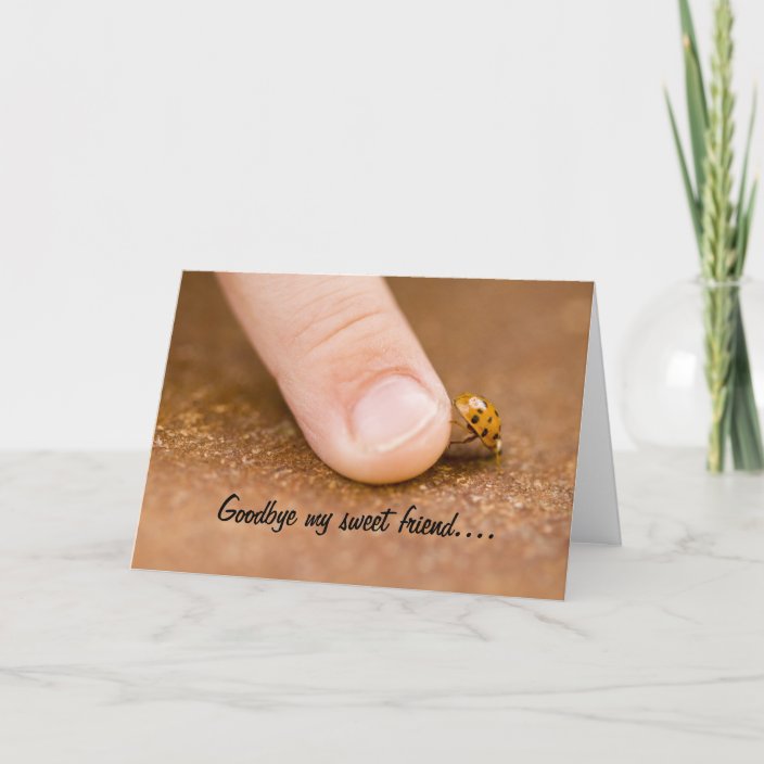 Goodbye friend ladybug card | Zazzle.com