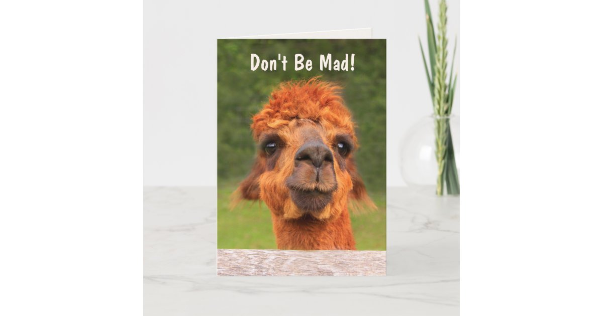 Goofy Llama Birthday Card | Zazzle