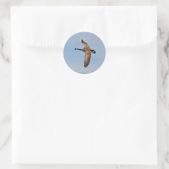 Goose in Flight Classic Round Sticker | Zazzle