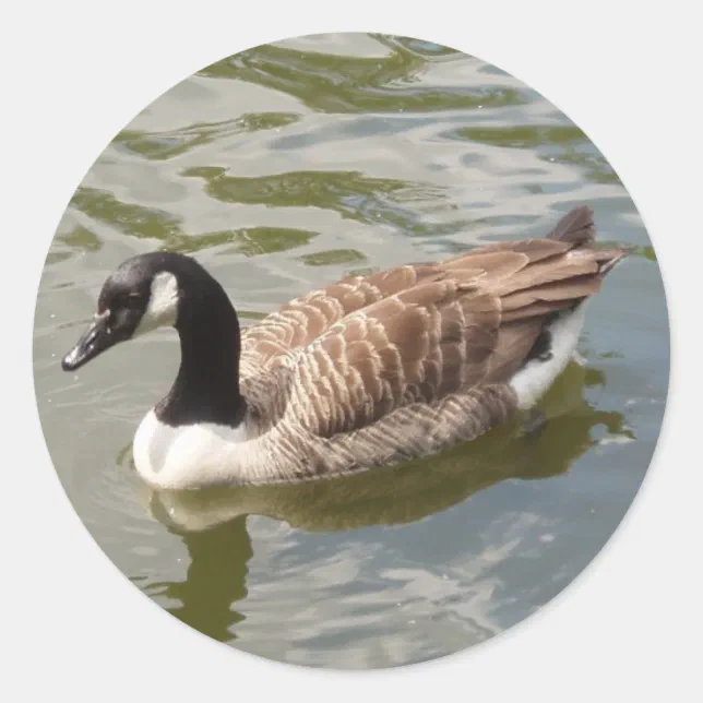 Goose Stickers | Zazzle