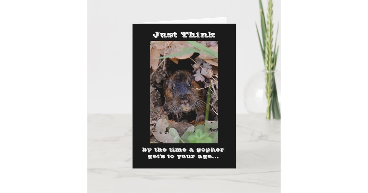 Gopher Birthday Card | Zazzle