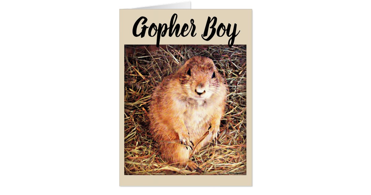 Gopher Boy Valentine Card | Zazzle