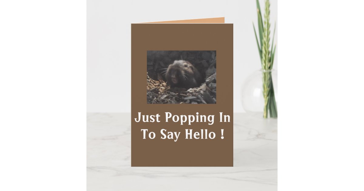 Gopher Greeting (Card) Card | Zazzle