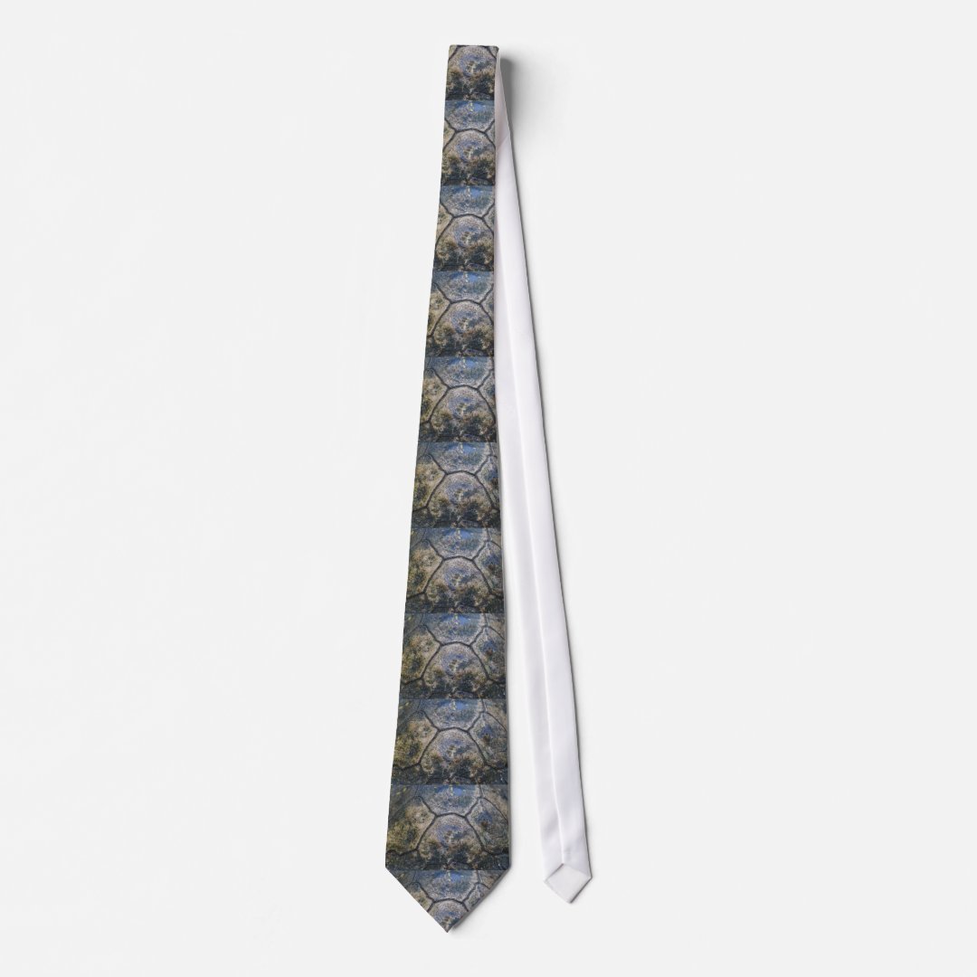 Gopher Tortoise Shell Neck Tie | Zazzle